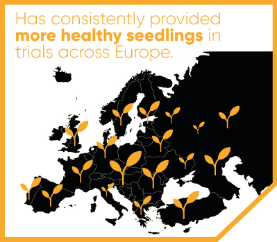 Lumisena® Fungicide Seed Treatment | Corteva Agriscience™